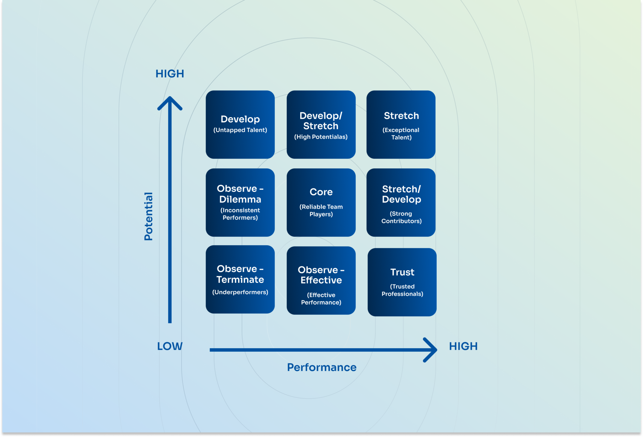 How to Get Started With The 9-Box Matrix - SeamlessHR